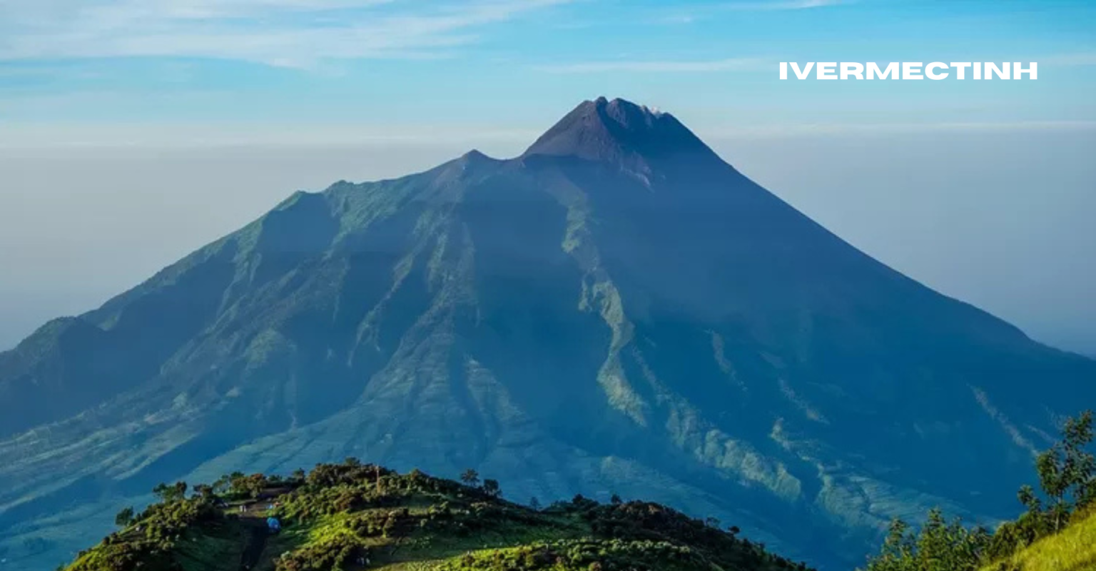 Gunung Cikuray: Keindahan di Atas Awan Garut