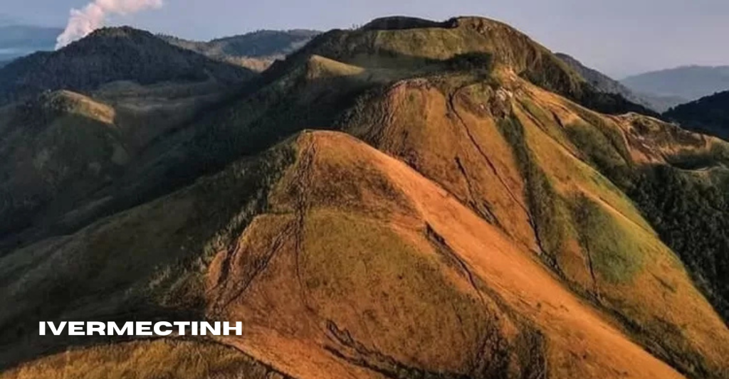 Gunung Guntur: Keindahan Alam dan Tantangan Mendaki di Garut