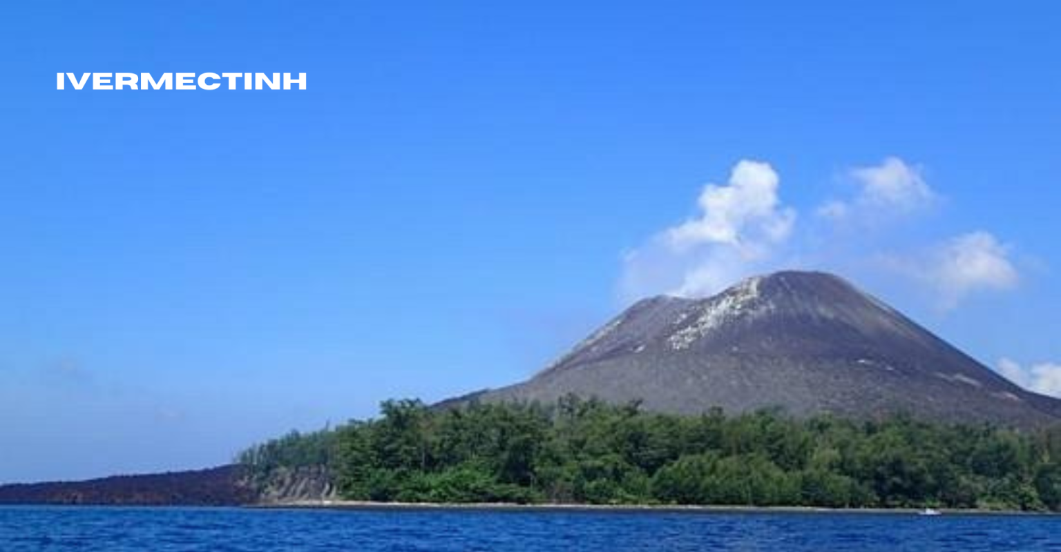 Mengenal Gunung Latimojong: Atap Sulawesi yang Menantang