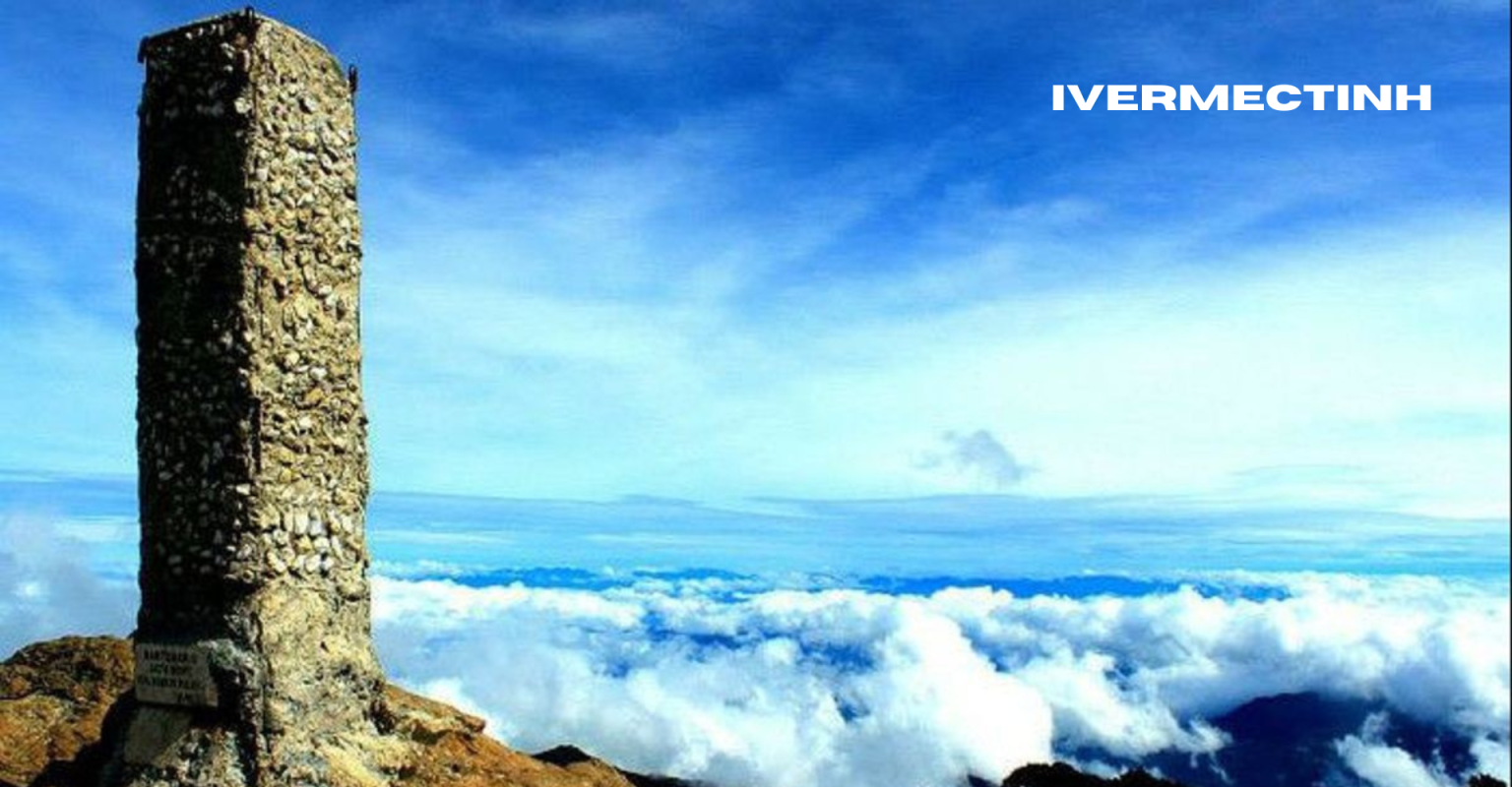 Mengenal Gunung Latimojong: Atap Sulawesi yang Menantang