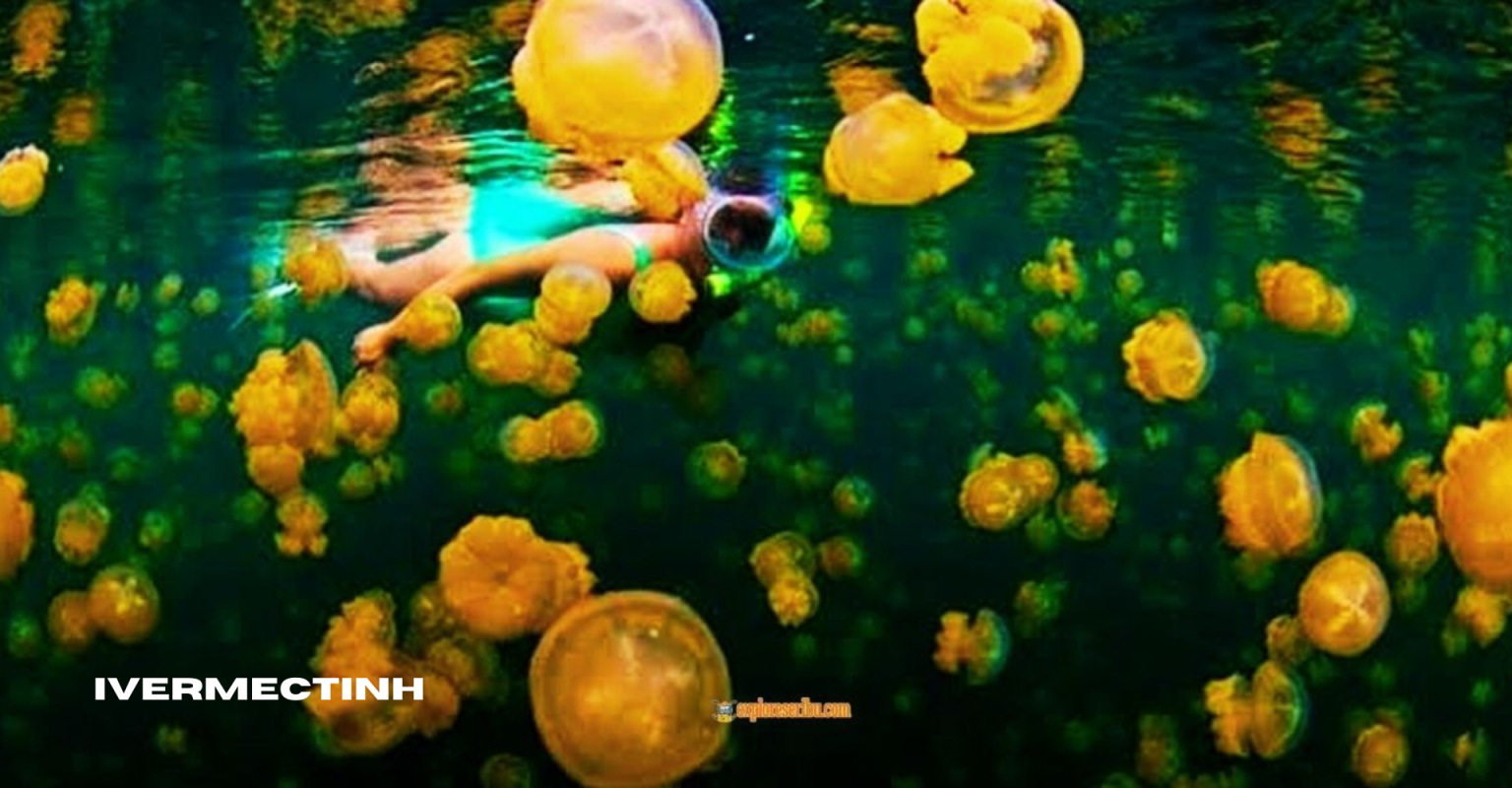 Danau Kakaban: Keindahan Unik dan Ubur-Ubur Tanpa Sengat yang Bikin Takjub