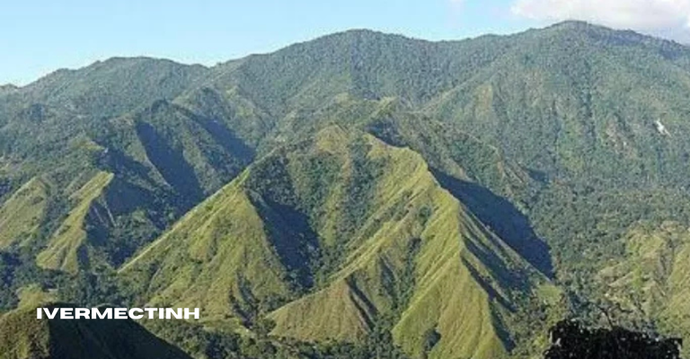 Gunung Latimojong: Menaklukkan Puncak Tertinggi Sulawesi!